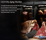 Residential 270L Dry Aging Beef Refrigerator With Blue LED Display